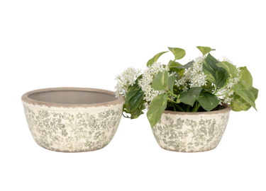 Pot Green Flower Shallow – Shepparton Plant Farm
