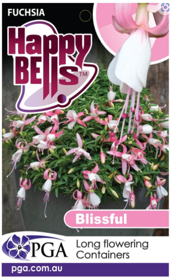 Fuchsia ‘Happy Bells Blissful’ – Shepparton Plant Farm